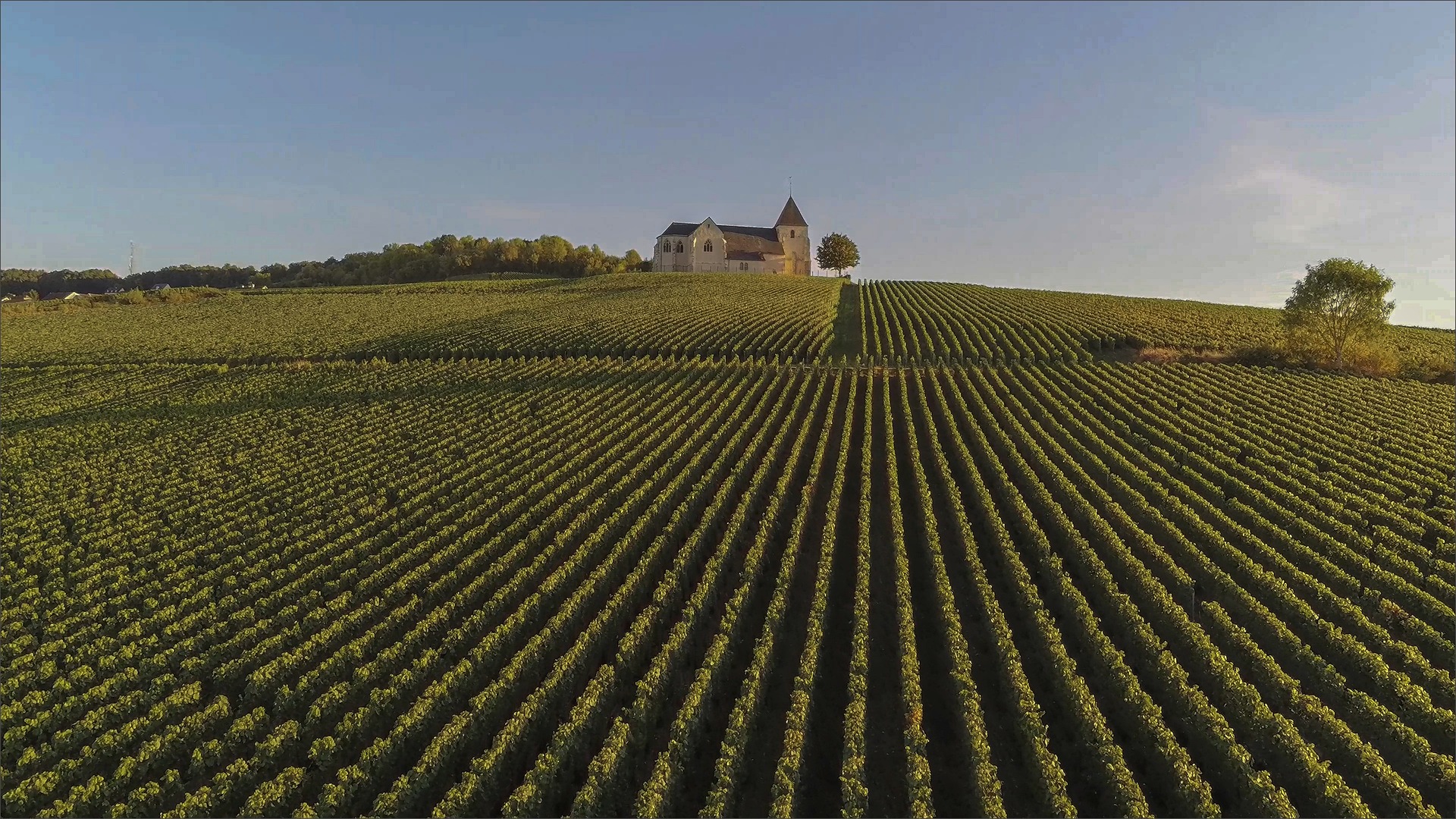 France Wine Tours: Discover the Best Wine Regions - Juniper Tours