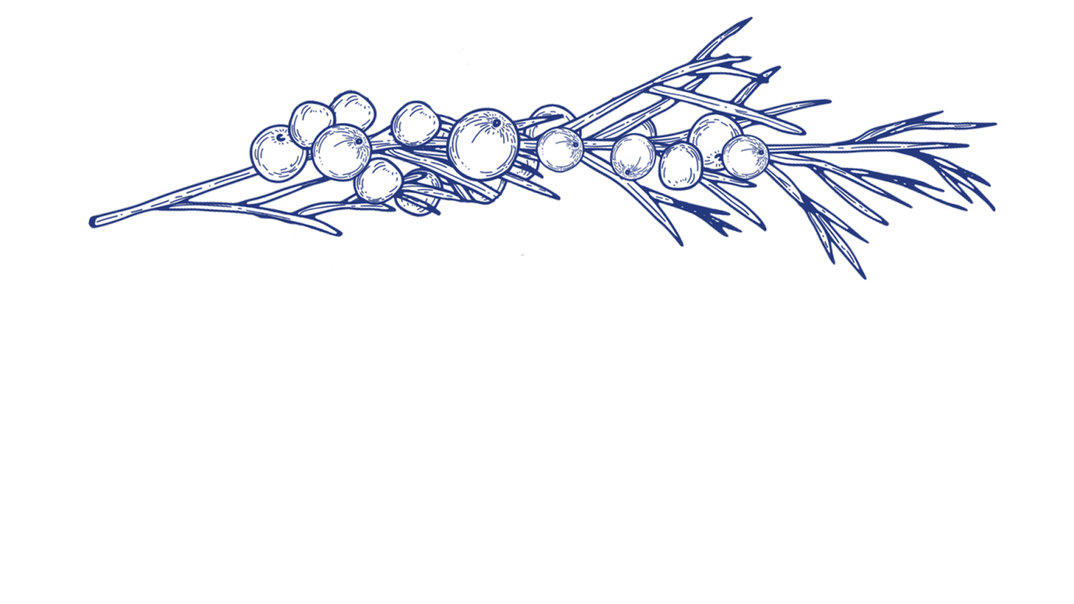 "Gaff" A Quintessential Irish Slang - Juniper Tours