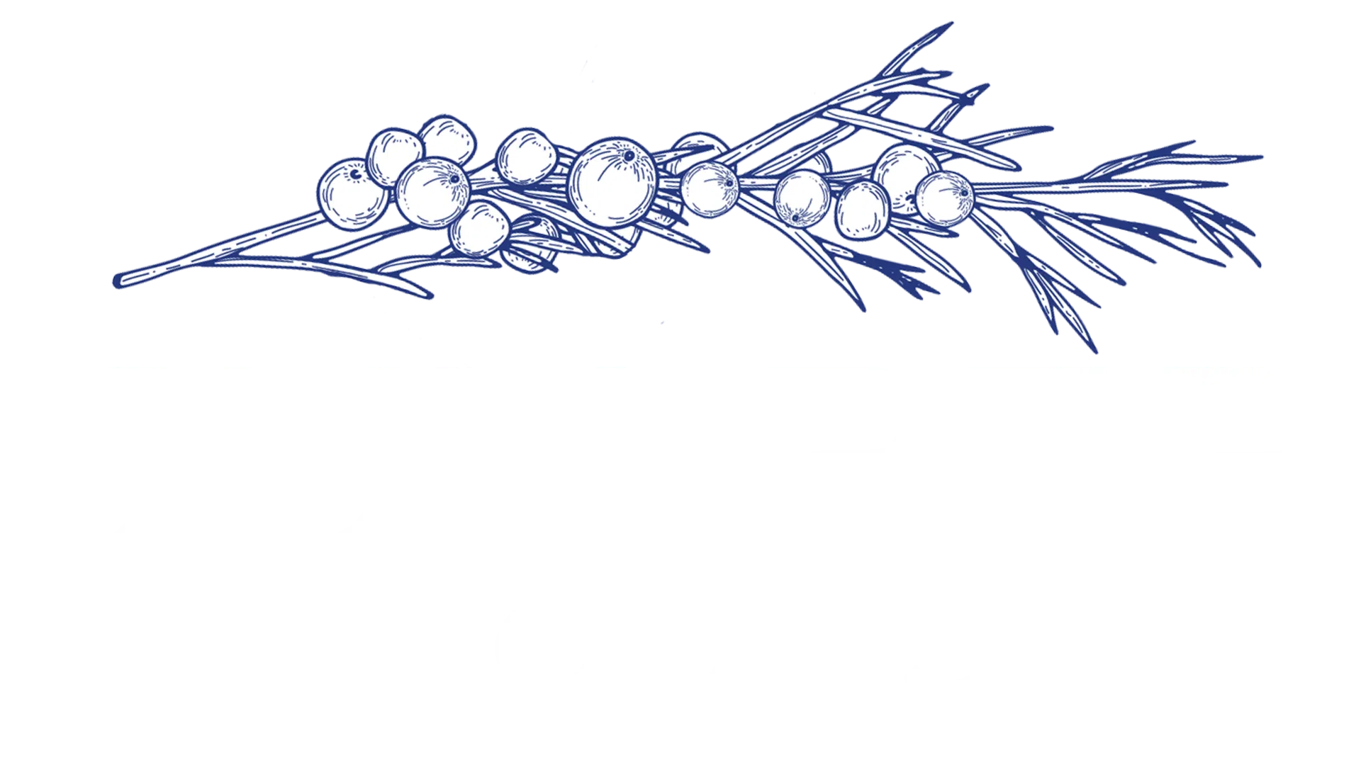 How Many Castles are in Scotland? - Juniper Tours