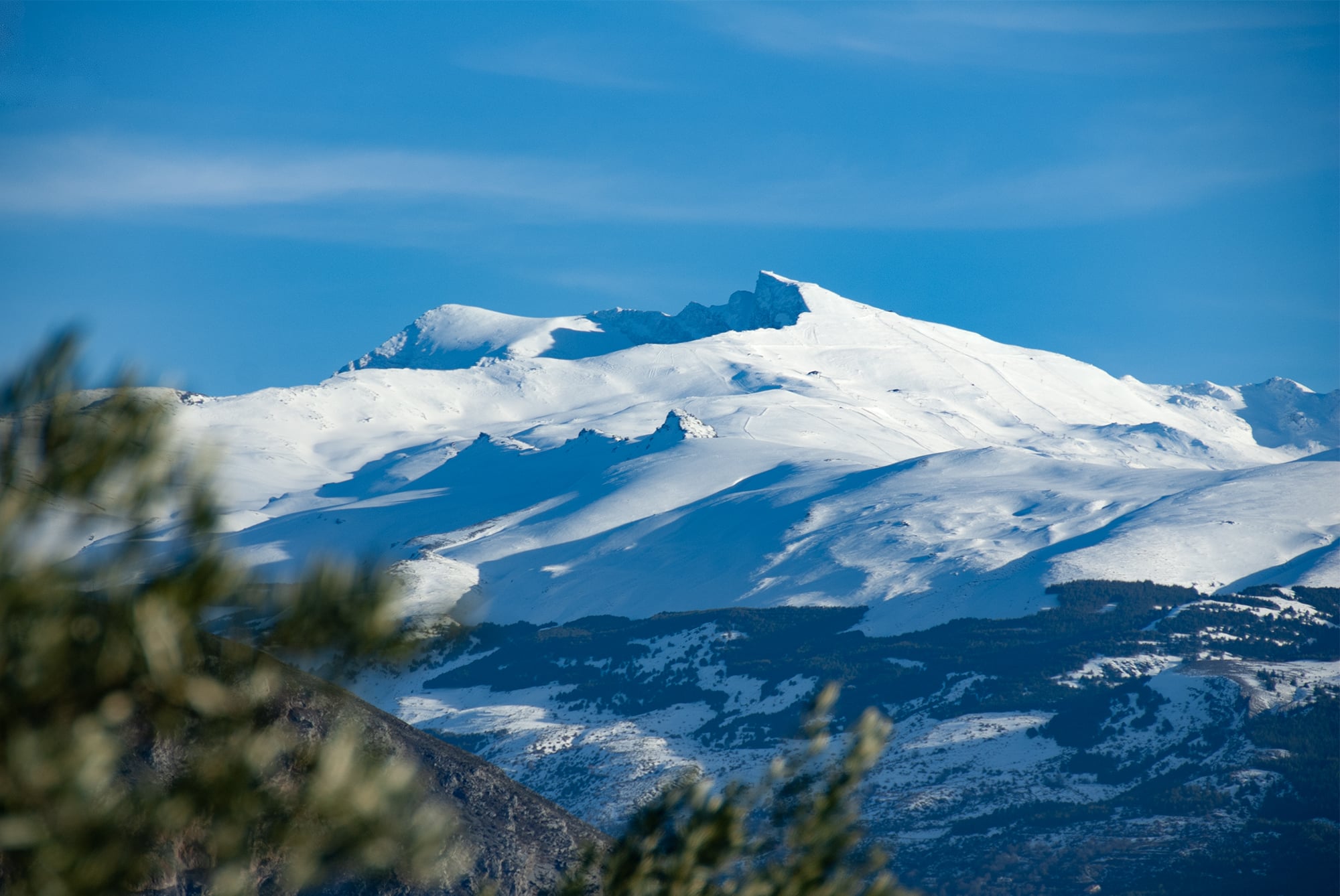 Exploring Sierra Nevada - Juniper Tours