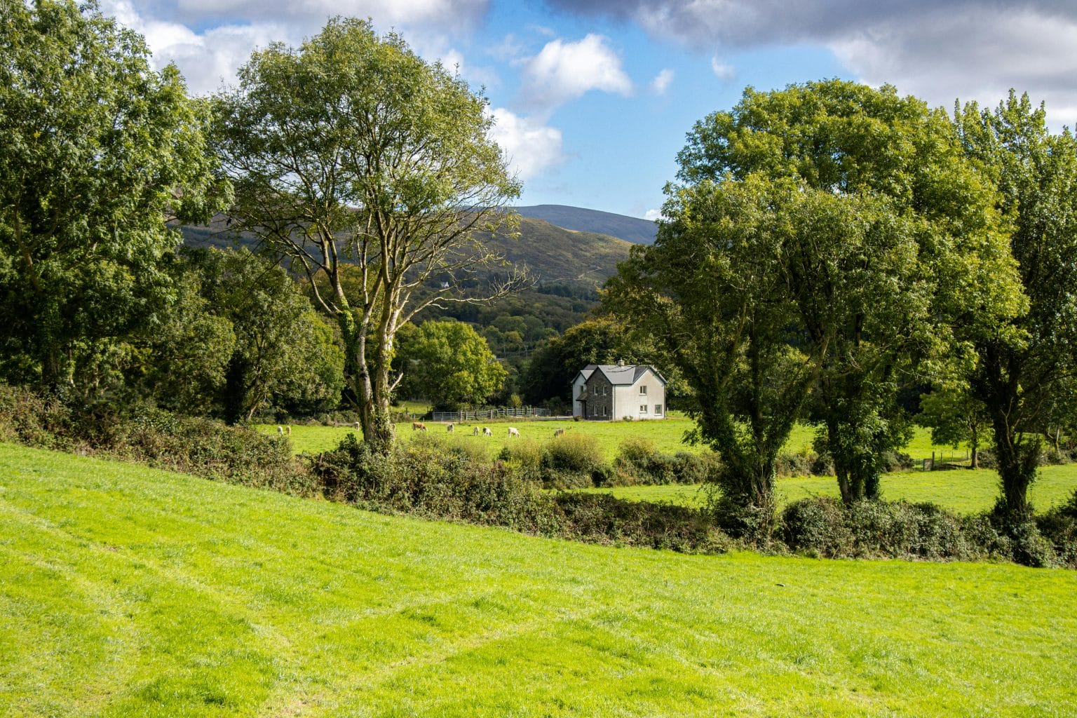 Vacation Packages to Ireland - Juniper Tours